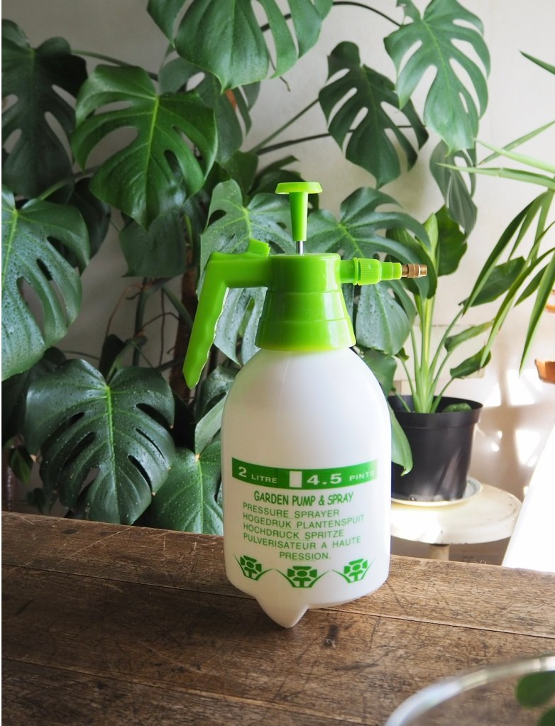 A HPH guide to…Getting your houseplants ready for Autumn – HOUSE PLANT ...
