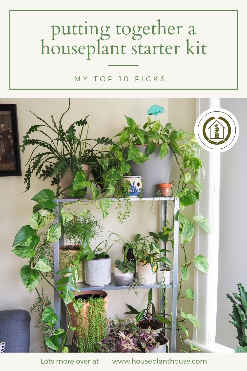 So you’ve recently got into houseplants? My top 10 picks for a starter ...