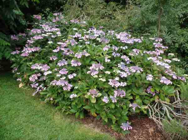 HPH visits… Edinburgh Part 1: Royal Botanic Garden Edinburgh – HOUSE ...