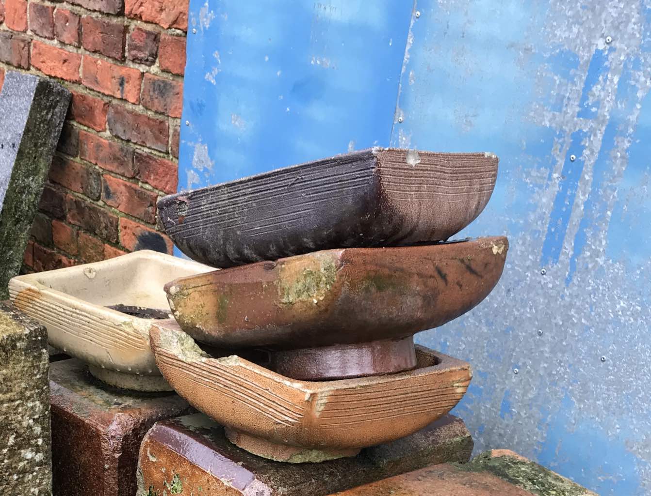 Planting inspiration for small space gardening — Part 1: Pots ...