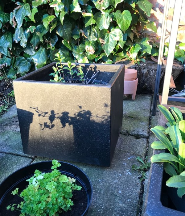 Planting inspiration for small space gardening — Part 1: Pots ...